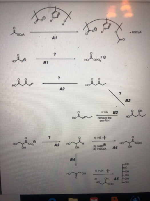 Solved On the next page (page 2) are a series of reactions | Chegg.com