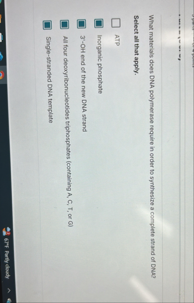 Solved What materials does DNA polymerase require in order | Chegg.com