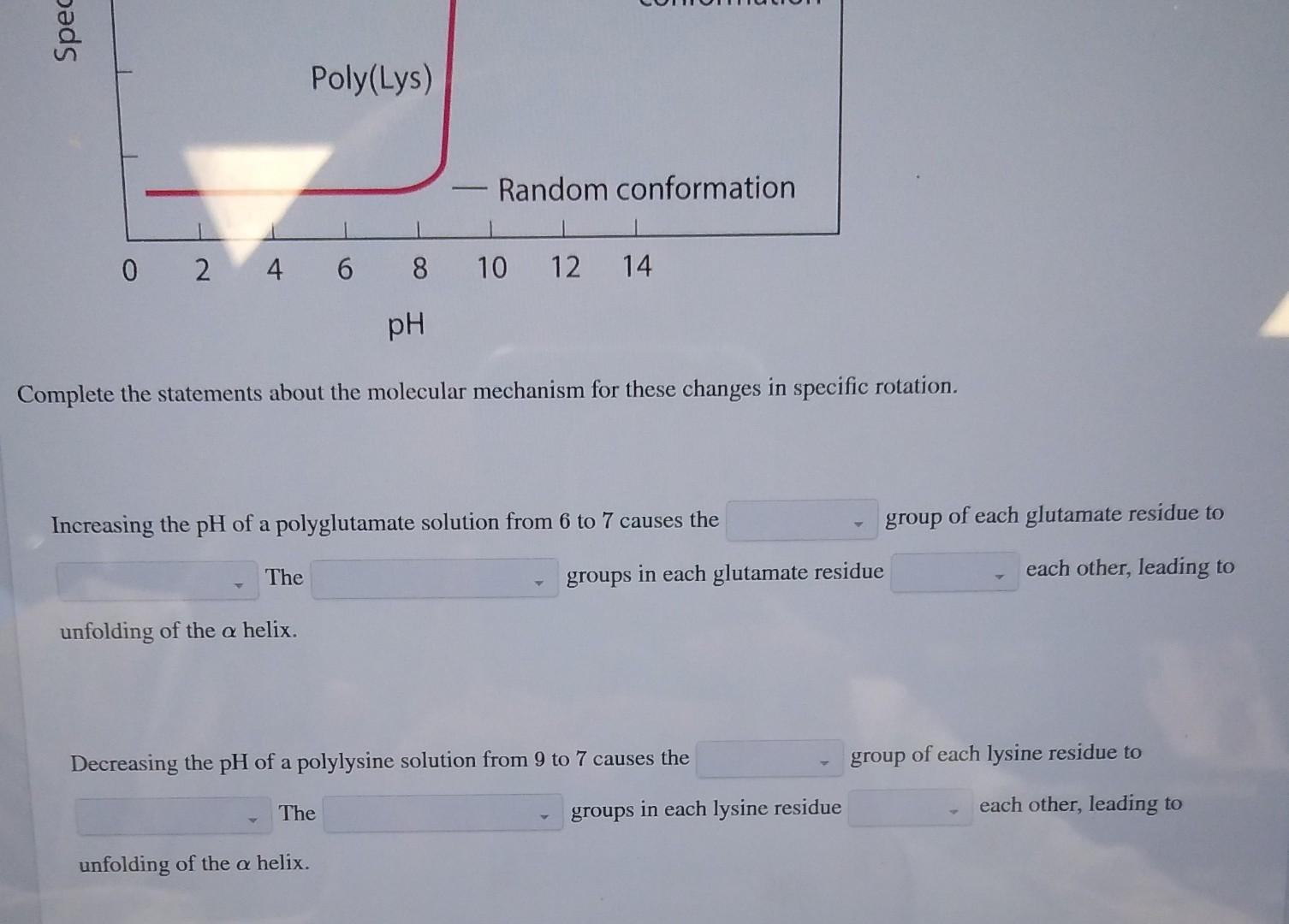 Specific rotation is a measure of a solution's | Chegg.com