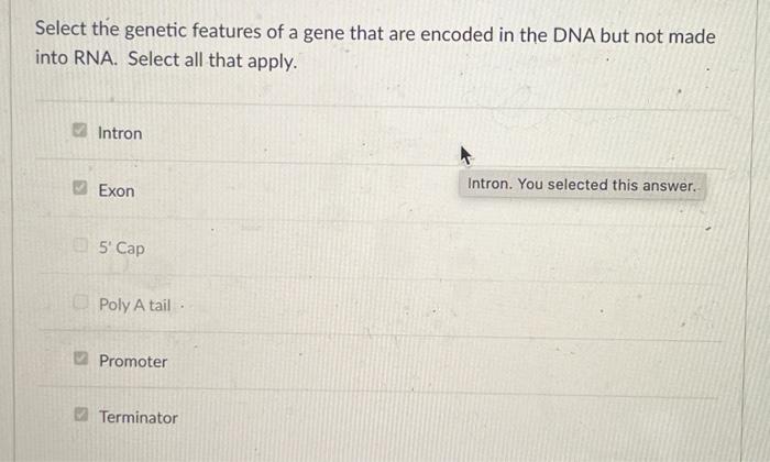 Solved Select the genetic features of a gene that are | Chegg.com