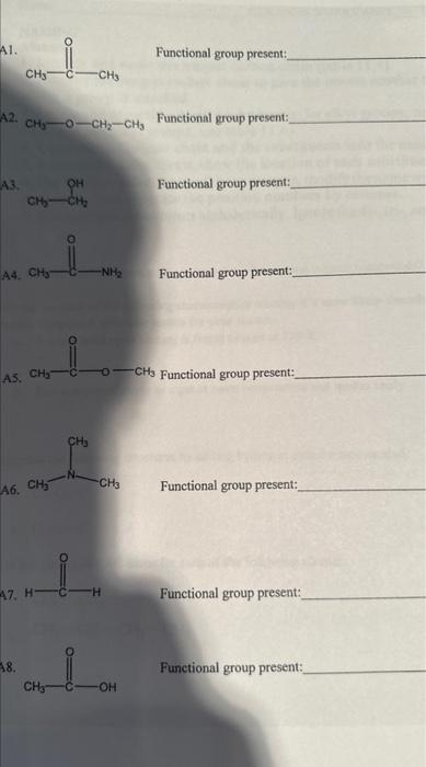 Solved A1. Functional group present: A2. CH2−O−CH2−CH3. | Chegg.com