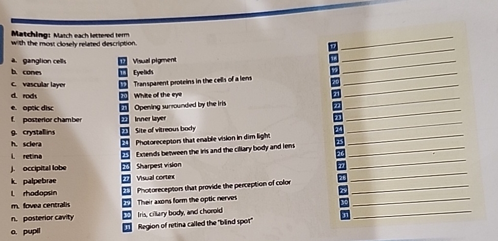 Solved Matching: Match each lettered term with the most | Chegg.com