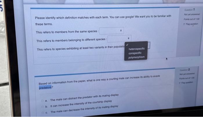 Solved answer mutiole chiice al please | Chegg.com