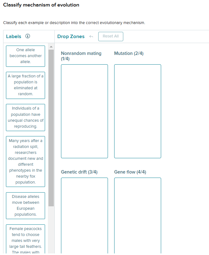 Solved Classify each example or description into the correct | Chegg.com