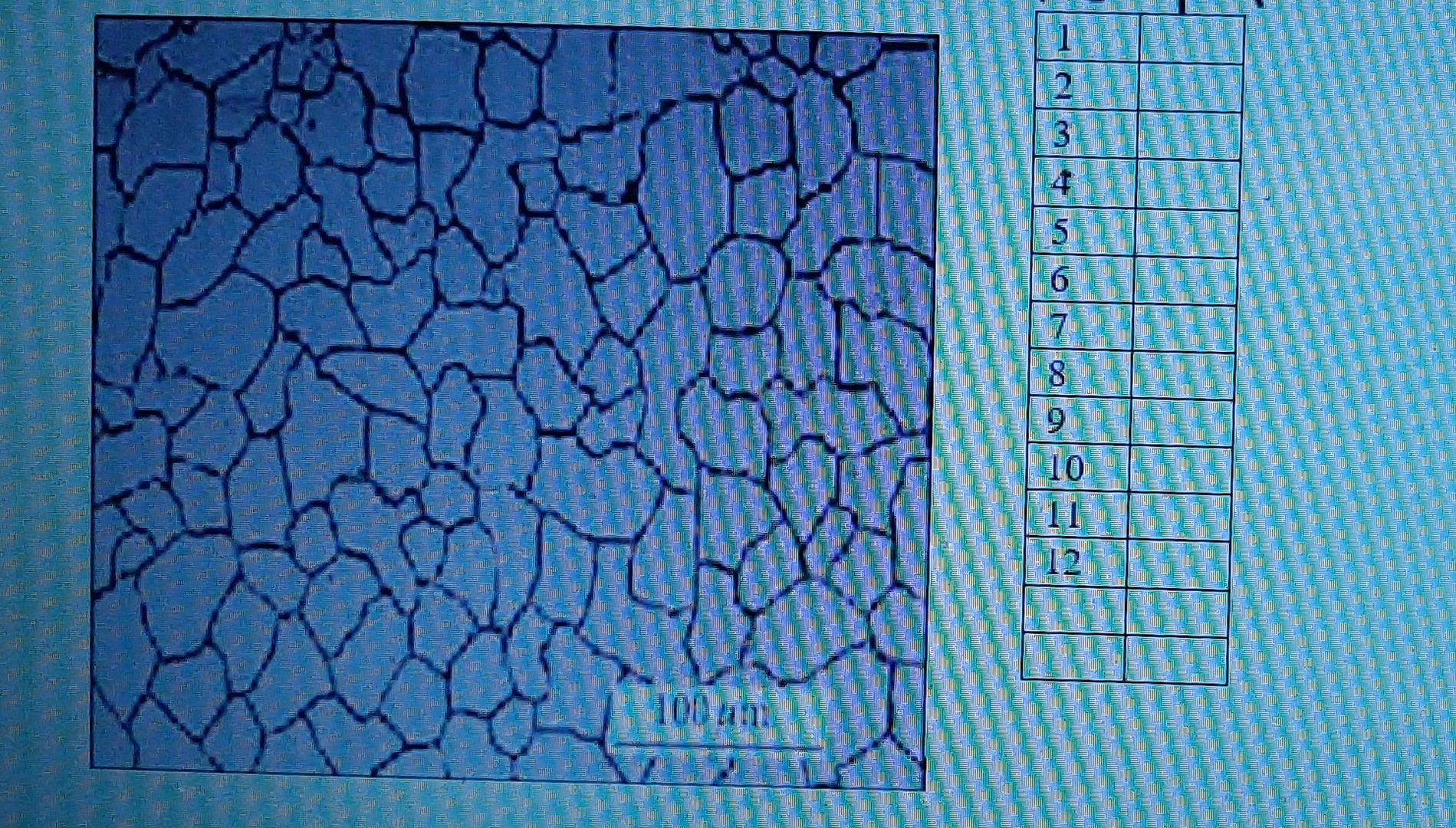 Solved ASTM Grain size: Mean intercept method | Chegg.com