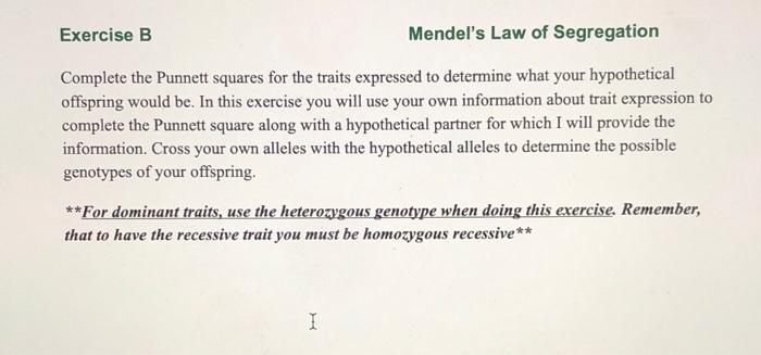 Solved Exercise B Mendel's Law of Segregation Complete the | Chegg.com