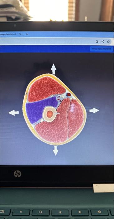 Solved what is the highlighted part | Chegg.com