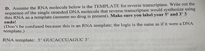Solved D. Assume the RNA molecule below is the TEMPLATE for | Chegg.com