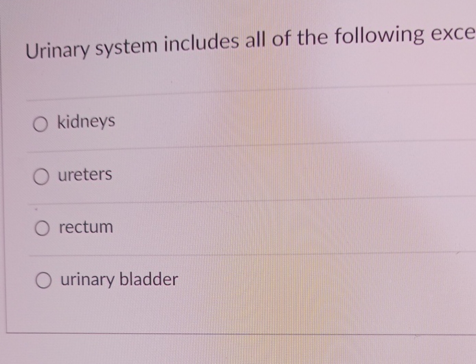 Solved Urinary system includes all of the following | Chegg.com