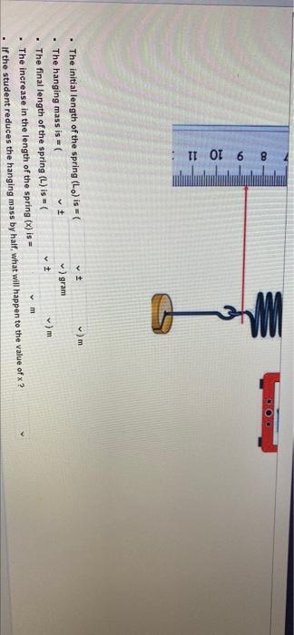 Solved A student performs Hooks law experiment to determine | Chegg.com