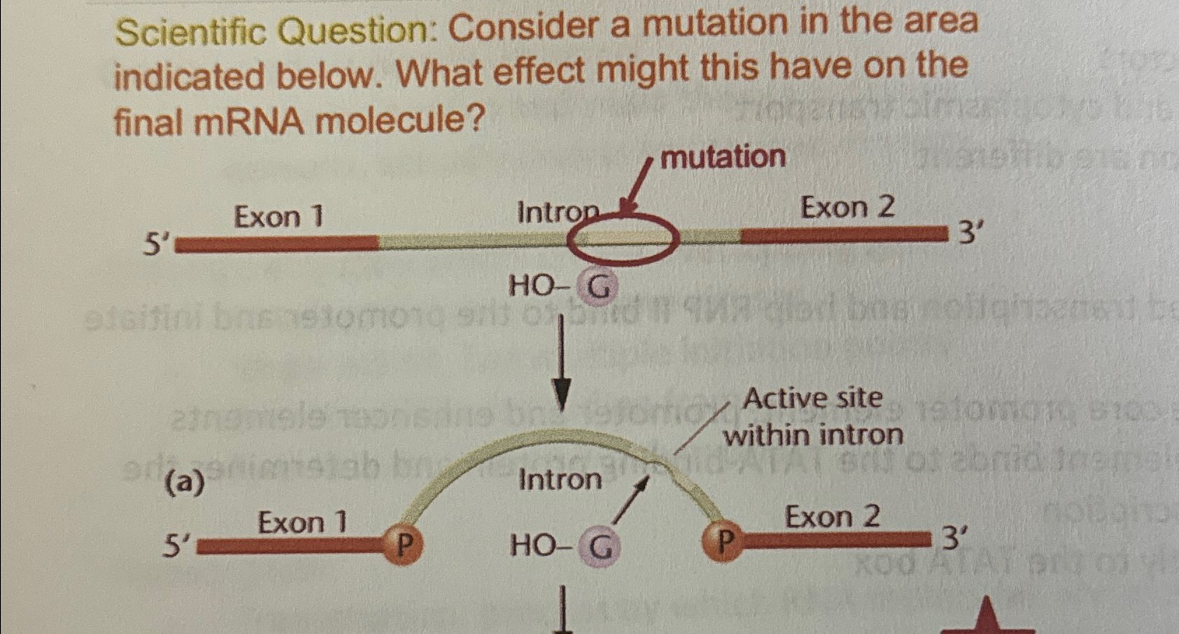 Solved Scientific Question: Consider a mutation in the area | Chegg.com