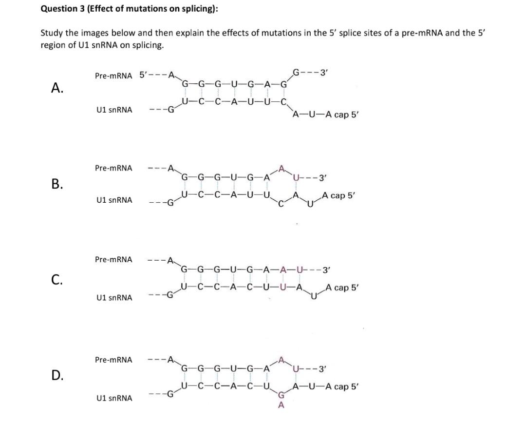 Solved Question 3 (Effect of mutations on splicing): Study | Chegg.com