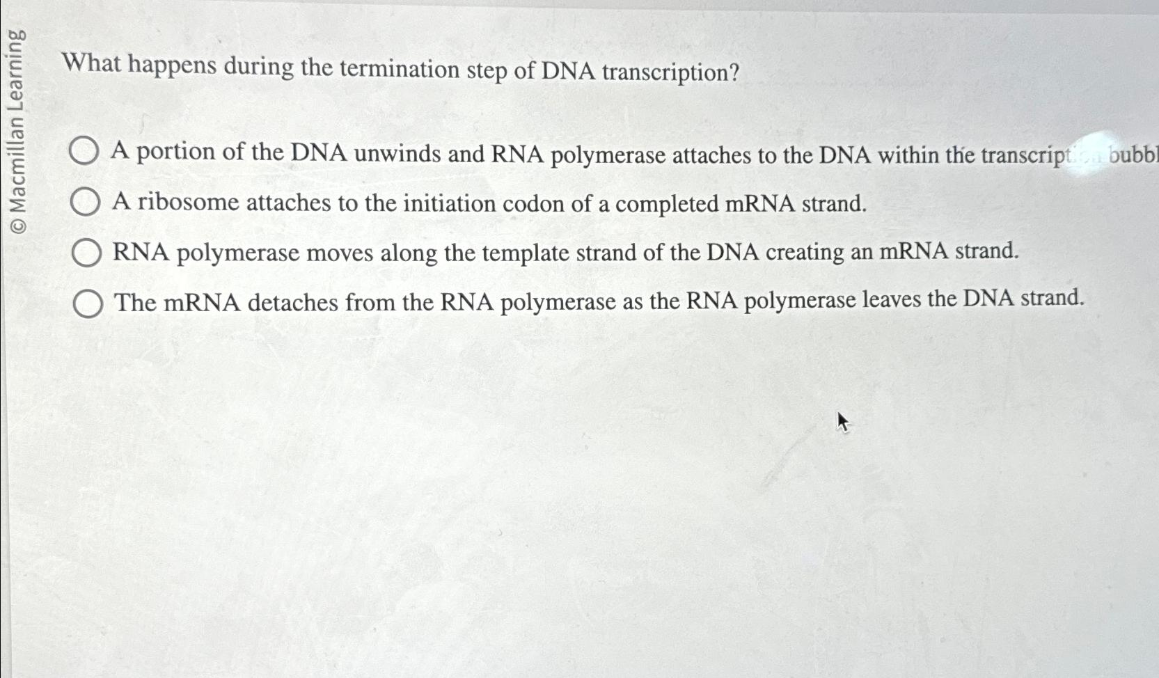 Solved What happens during the termination step of DNA | Chegg.com