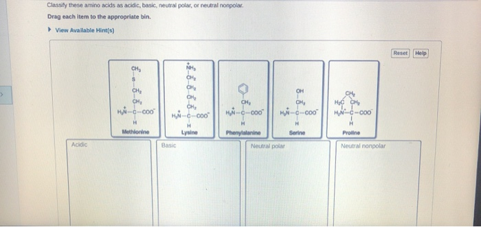 Solved Classify these amino acids as acidic, basic, neutral | Chegg.com