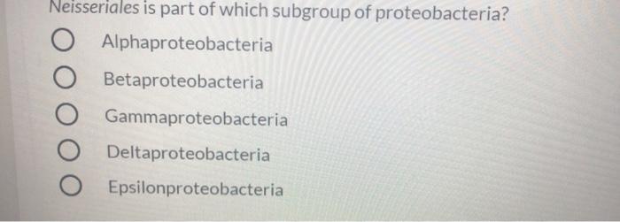 Solved Neisseriales is part of which subgroup of | Chegg.com