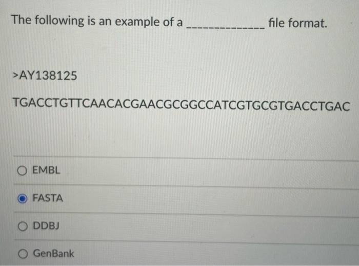 Solved The following is an example of a file format. > | Chegg.com