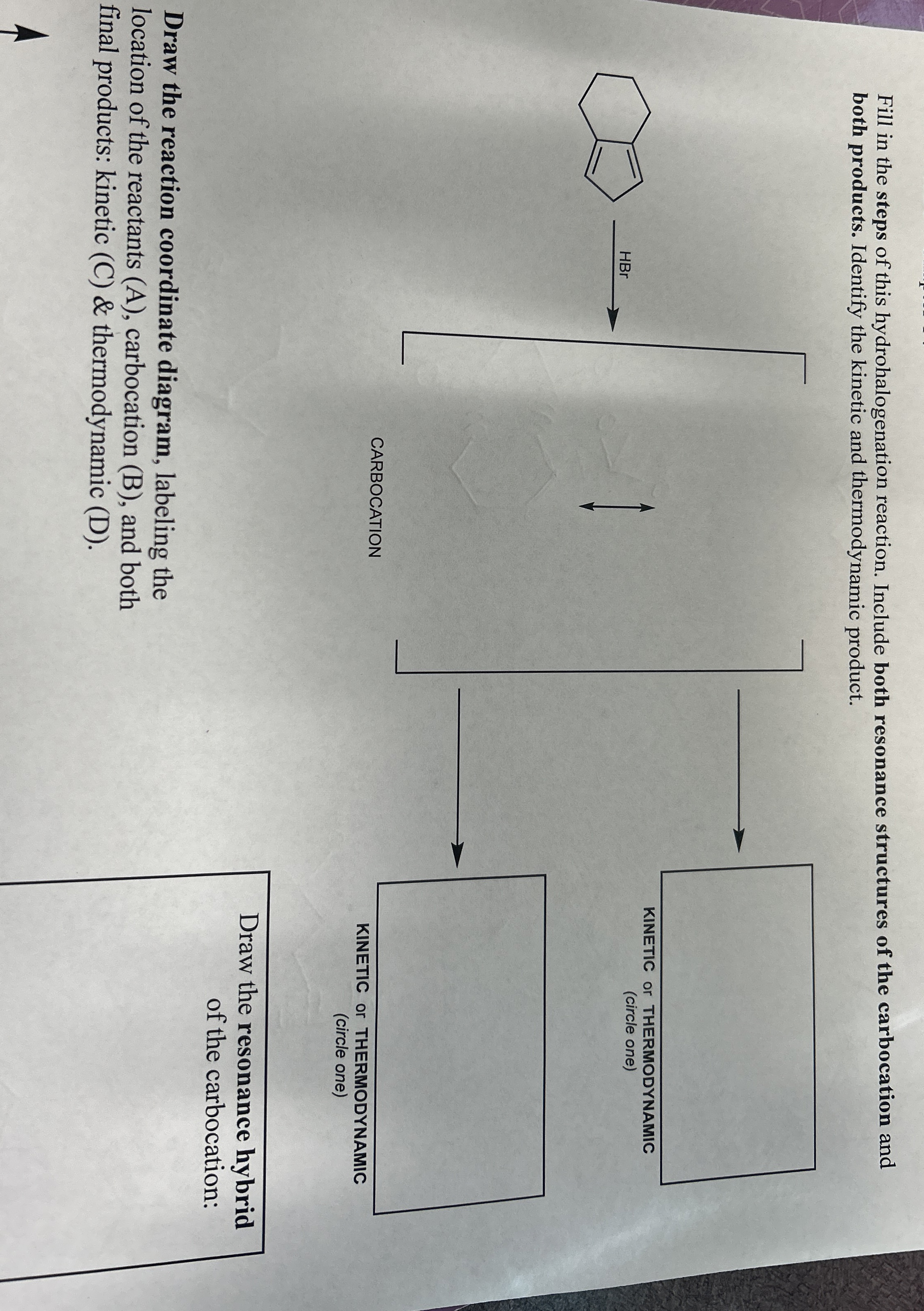 Solved Fill in the steps of this hydrohalogenation reaction. | Chegg.com