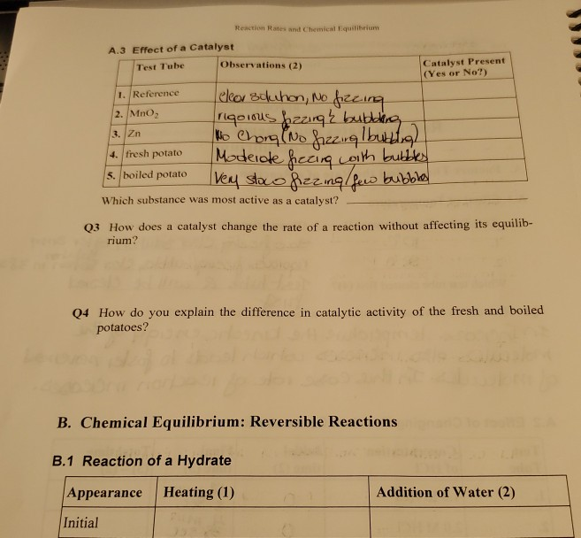 Solved Reaction Rates and Chemical Equilibrium A.3 Effect of | Chegg.com