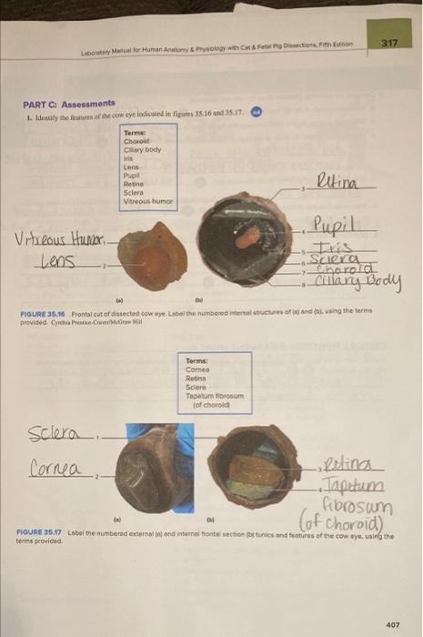 PART C: Assessments 1. Identify the features of the | Chegg.com