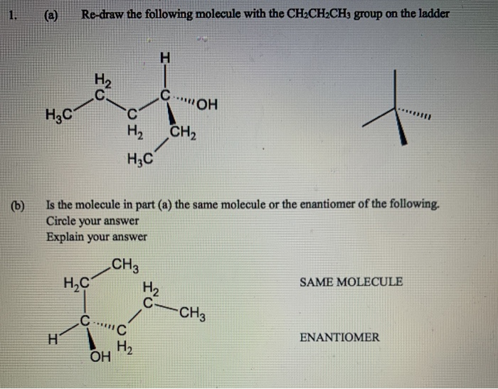 Solved Re-draw the following molecule with the CH2CH2CH3 | Chegg.com