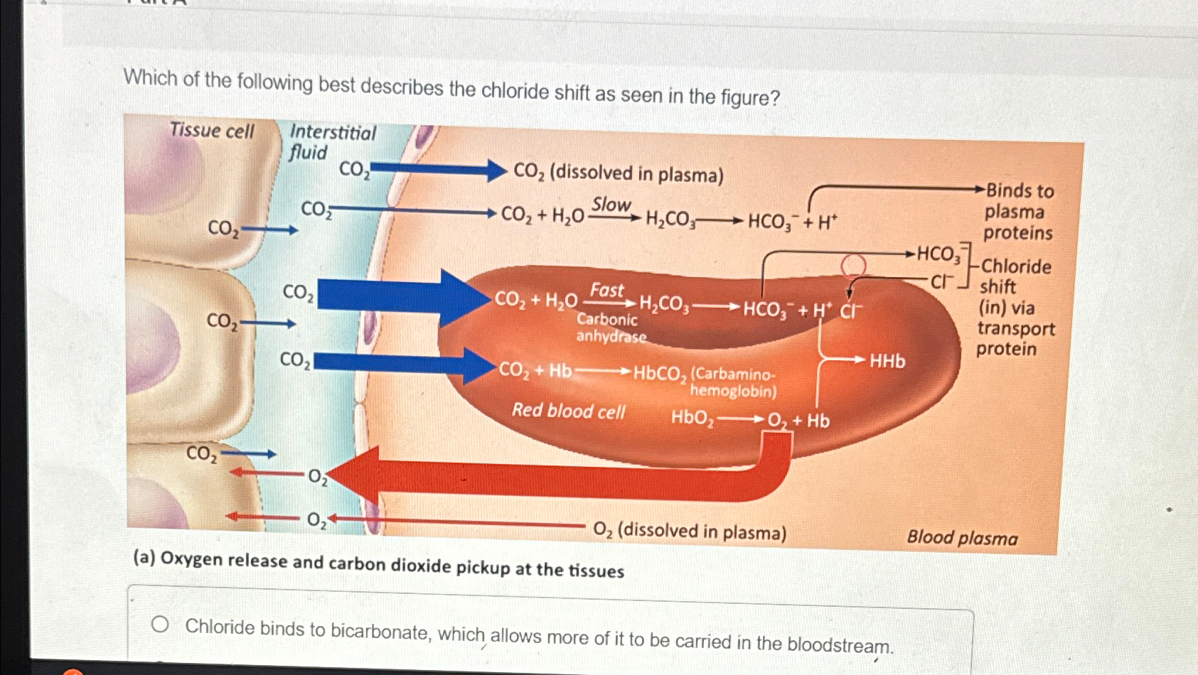 Solved Which of the following best describes the chloride | Chegg.com