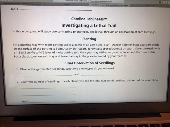 27TH Done investigating-a-lethal-trait Planting Fill | Chegg.com
