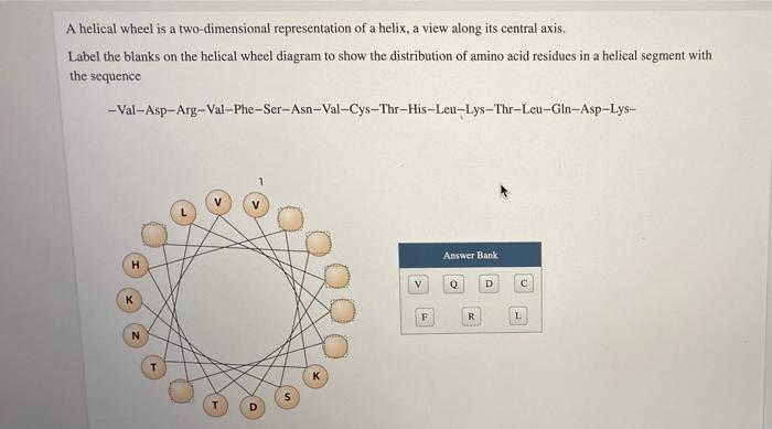 Solved A helical wheel is a two-dimensional representation | Chegg.com