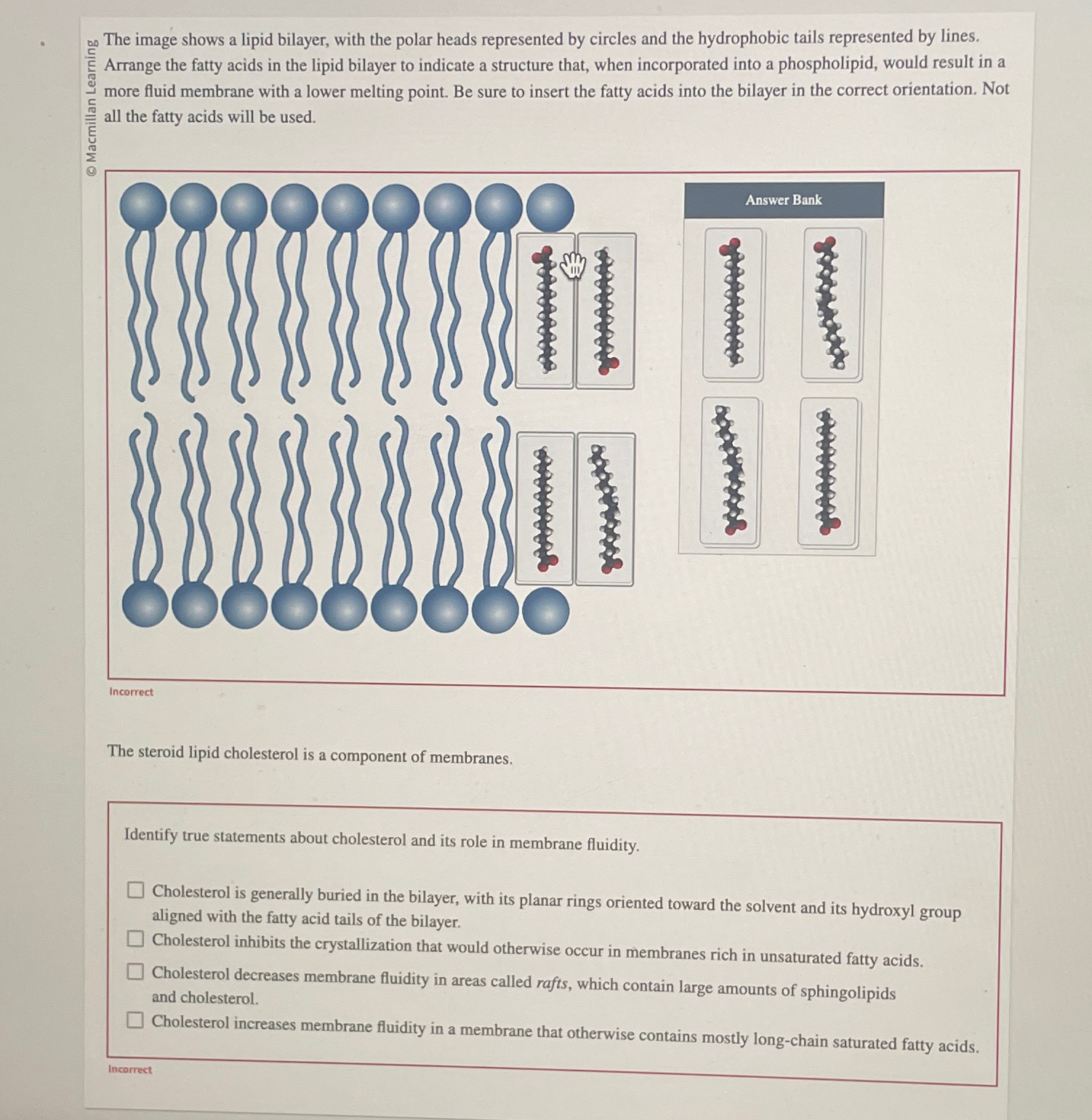 Solved The image shows a lipid bilayer, with the polar heads | Chegg.com