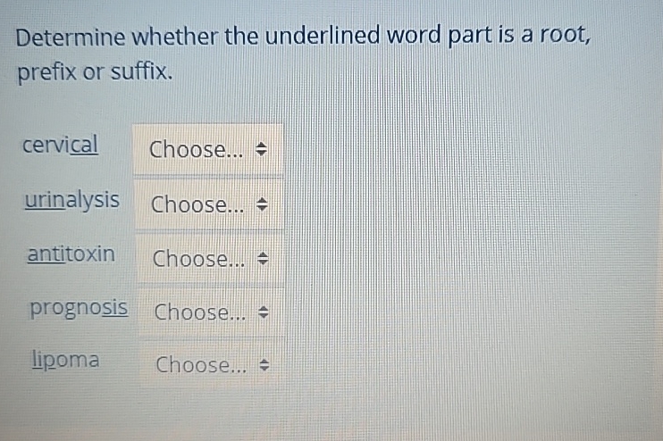 Solved Determine whether the underlined word part is a root, | Chegg.com