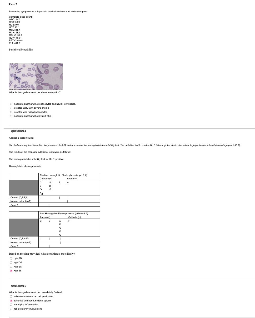 Solved Please answer all three, they go together with the | Chegg.com