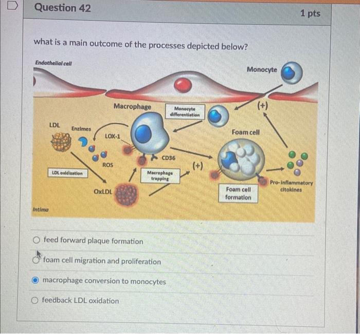 Solved what is a main outcome of the processes depicted | Chegg.com