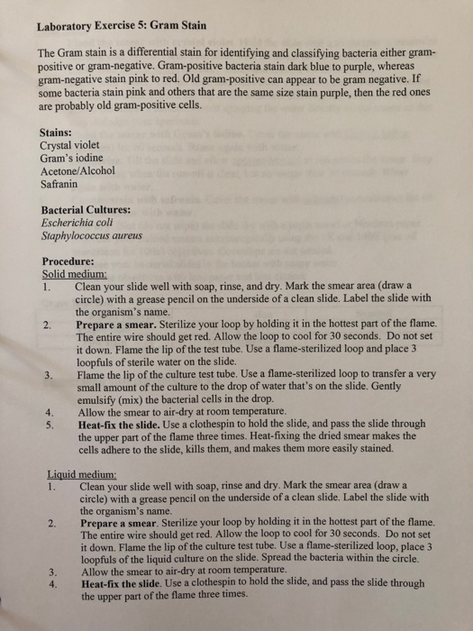 Solved Laboratory Exercise 5: Gram Stain The Gram stain is a | Chegg.com
