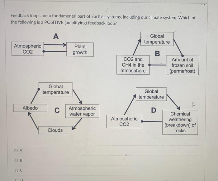Solved Feedback loops are a fundamental part of Earth's | Chegg.com