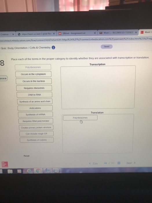 Solved Week 1 Week 1-BSC20850G3-7102820 x M SIMnet | Chegg.com