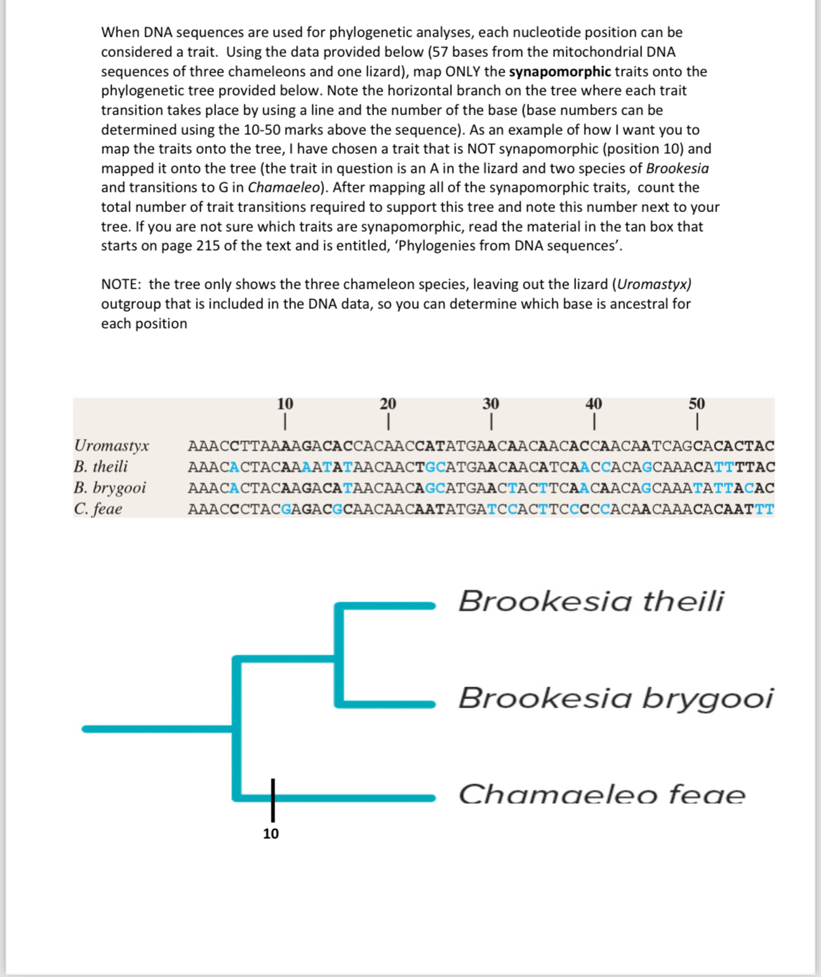 Solved When DNA sequences are used for phylogenetic | Chegg.com