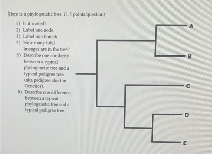 Solved Here is a phylogenetic tree. ( 1.5 1) Is it rooted? | Chegg.com
