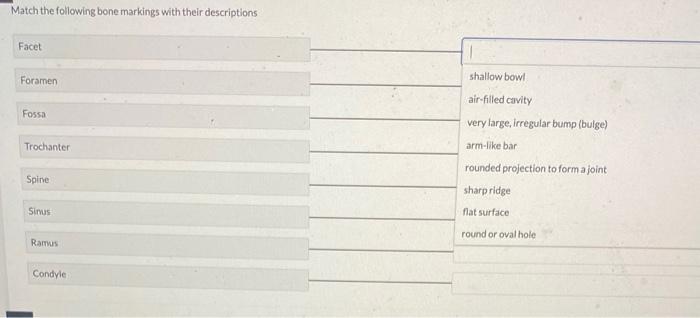Solved Match the following bone markings with their | Chegg.com
