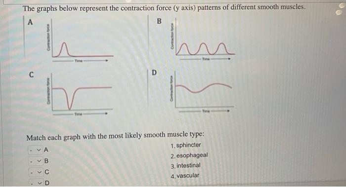 Solved The graphs below represent the contraction force (y | Chegg.com