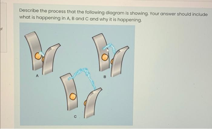 Solved Describe the process that the following diagram is | Chegg.com