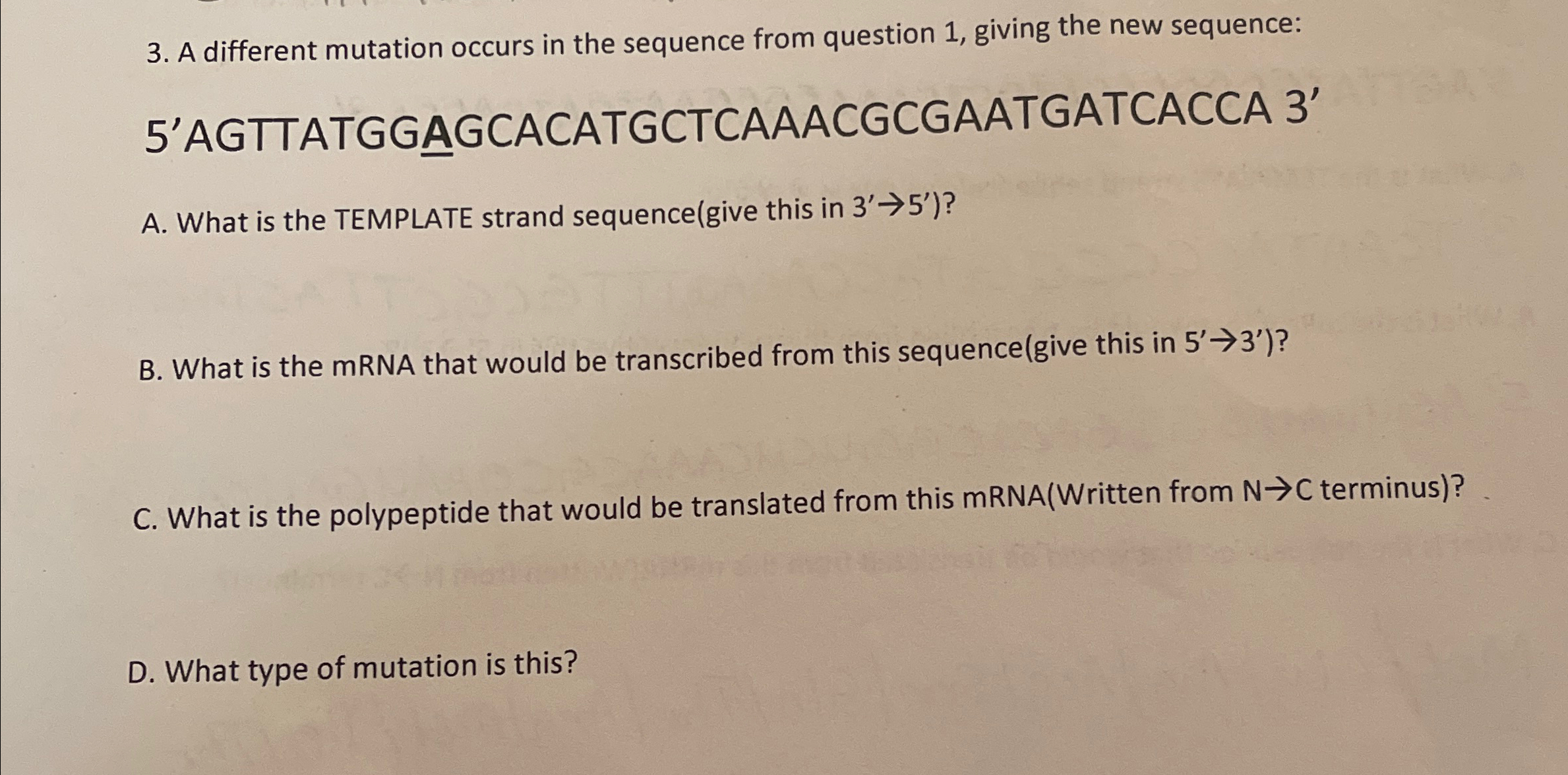 Solved A different mutation occurs in the sequence from | Chegg.com
