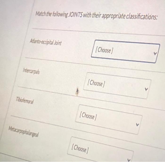Solved Match the following JOINTS with their appropriate | Chegg.com