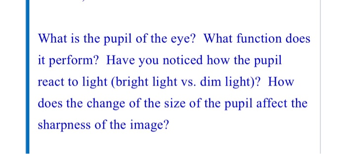 Solved What is the pupil of the eye? What function does it | Chegg.com