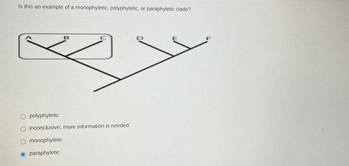Solved Is this an example of a monophyletic, polyphyletic, | Chegg.com