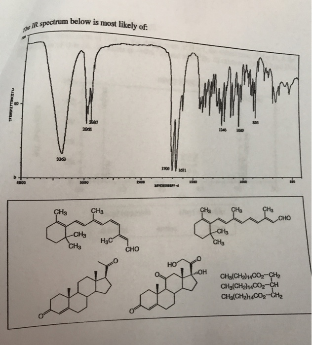 Solved spectrum below is most likely of: IR spectrum CH3 CH3 | Chegg.com