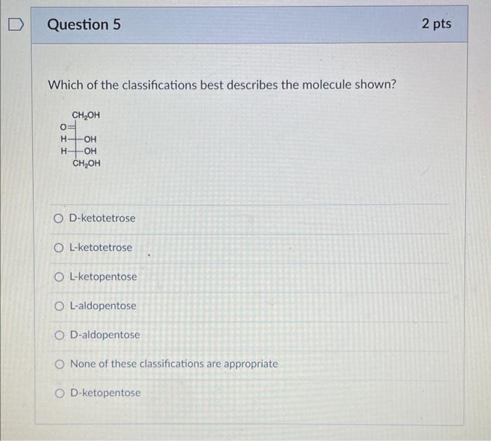 Solved Which of the classifications best describes the | Chegg.com
