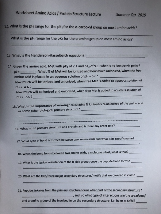 Solved Worksheet Amino Acids / Protein Structure Lecture | Chegg.com