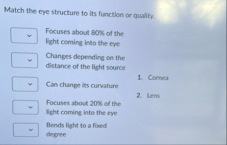 Solved Match the eye structure to its function or quality. | Chegg.com