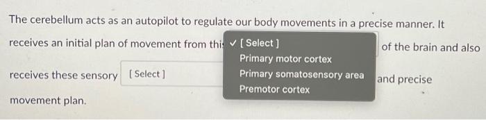 Solved The cerebellum acts as an autopilot to regulate our | Chegg.com