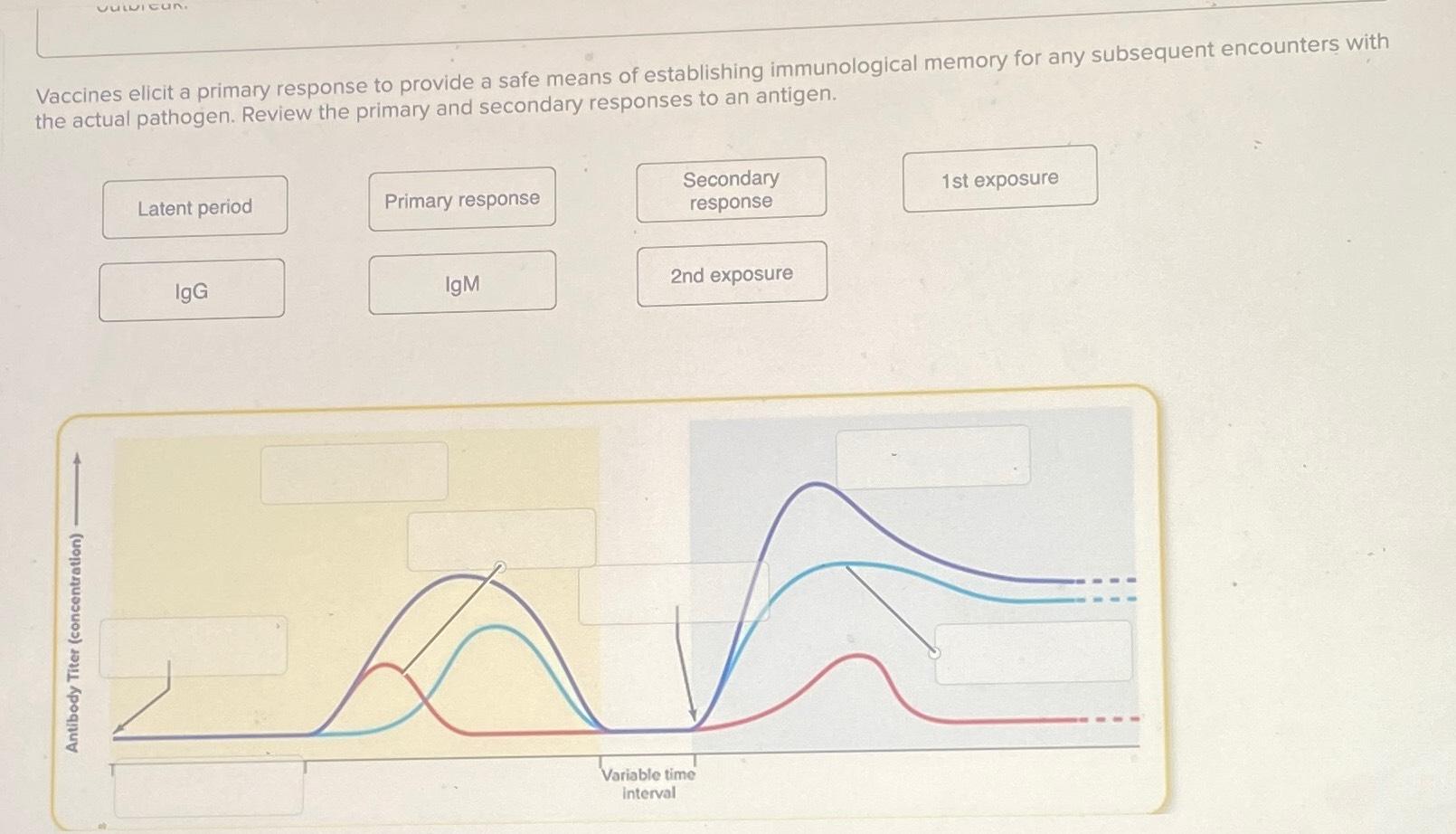 Solved Vaccines elicit a primary response to provide a safe | Chegg.com