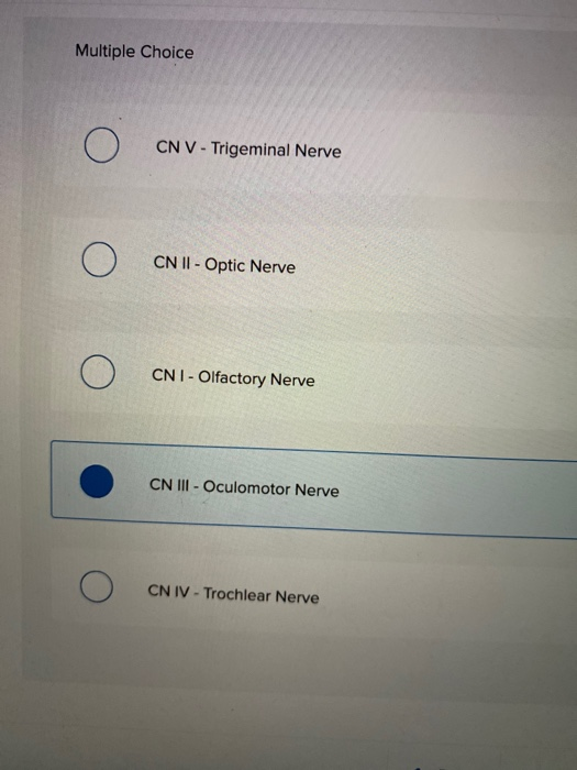 Solved Which structure is highlighted? Multiple Choice CNV - | Chegg.com